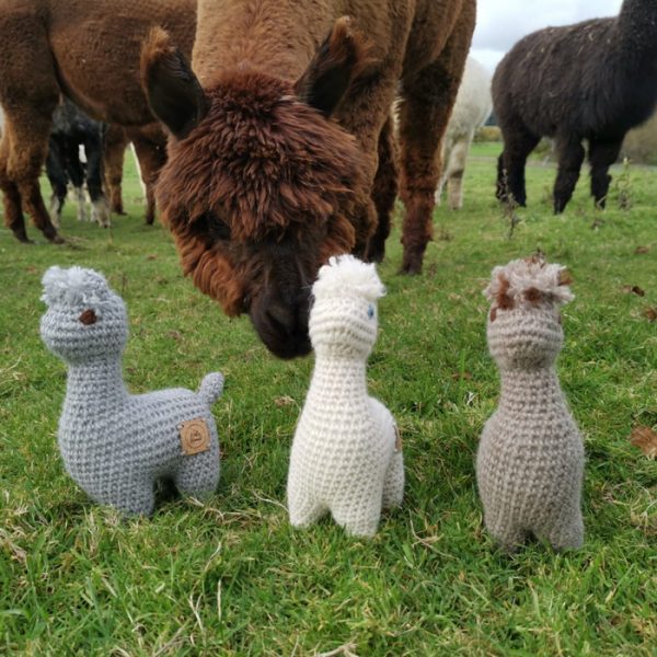 Hand Knits, Kits & Yarn Archives - Alpacaly Ever After